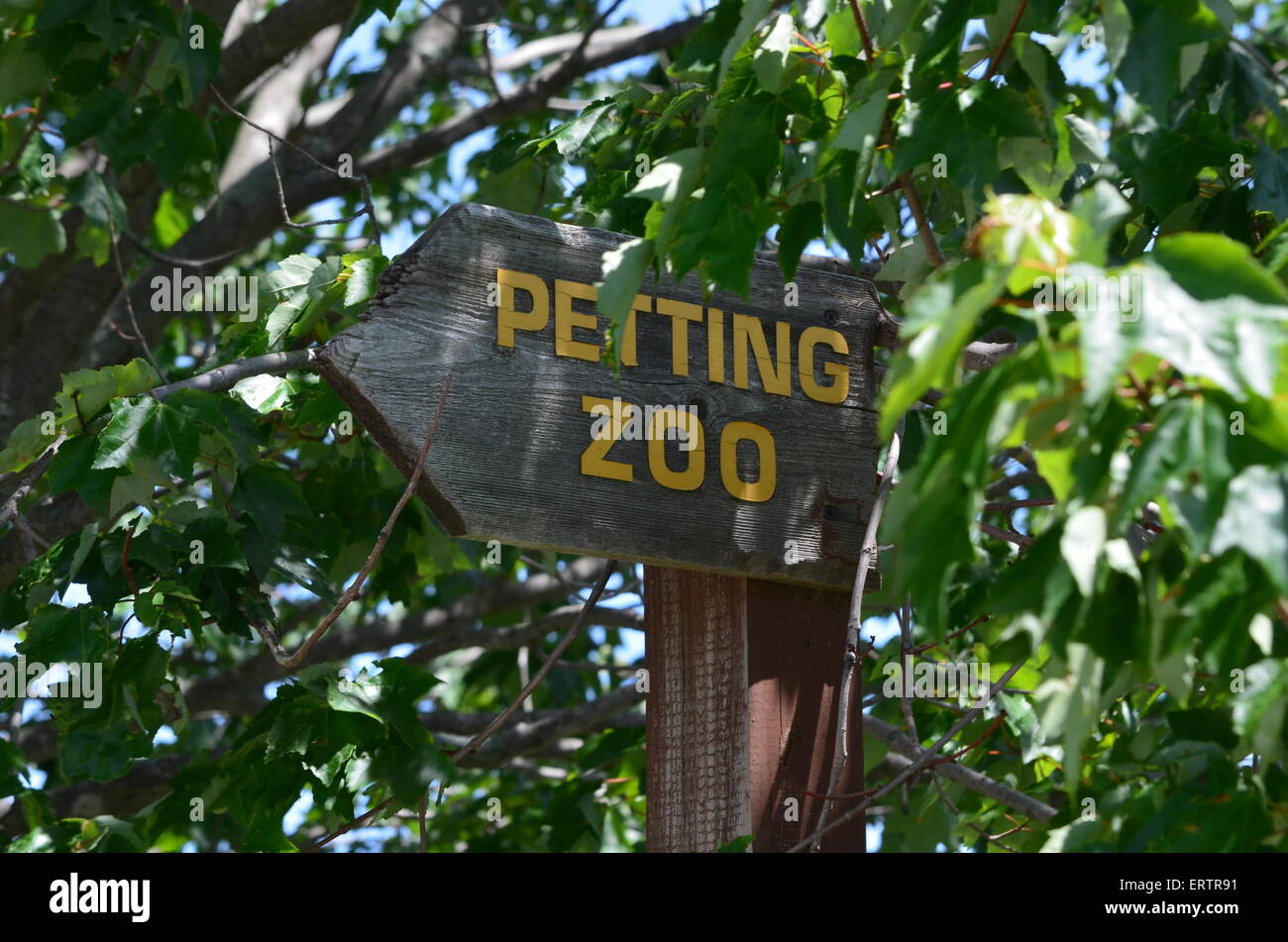 Petting zoo sign hi-res stock photography and images - Alamy