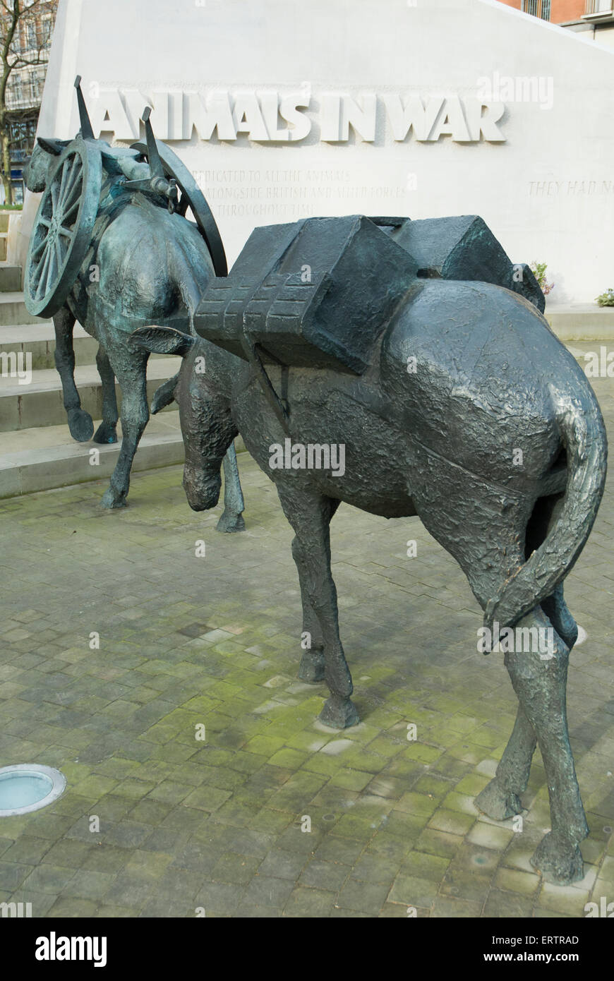 Animals in war memorial london hi-res stock photography and images - Alamy