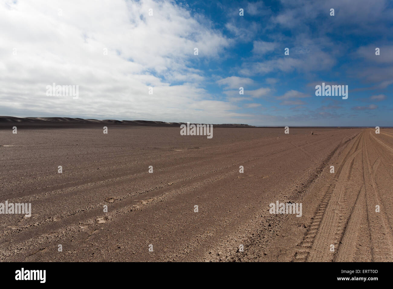 Salt road from Skeleton coast, Namibia Stock Photo - Alamy