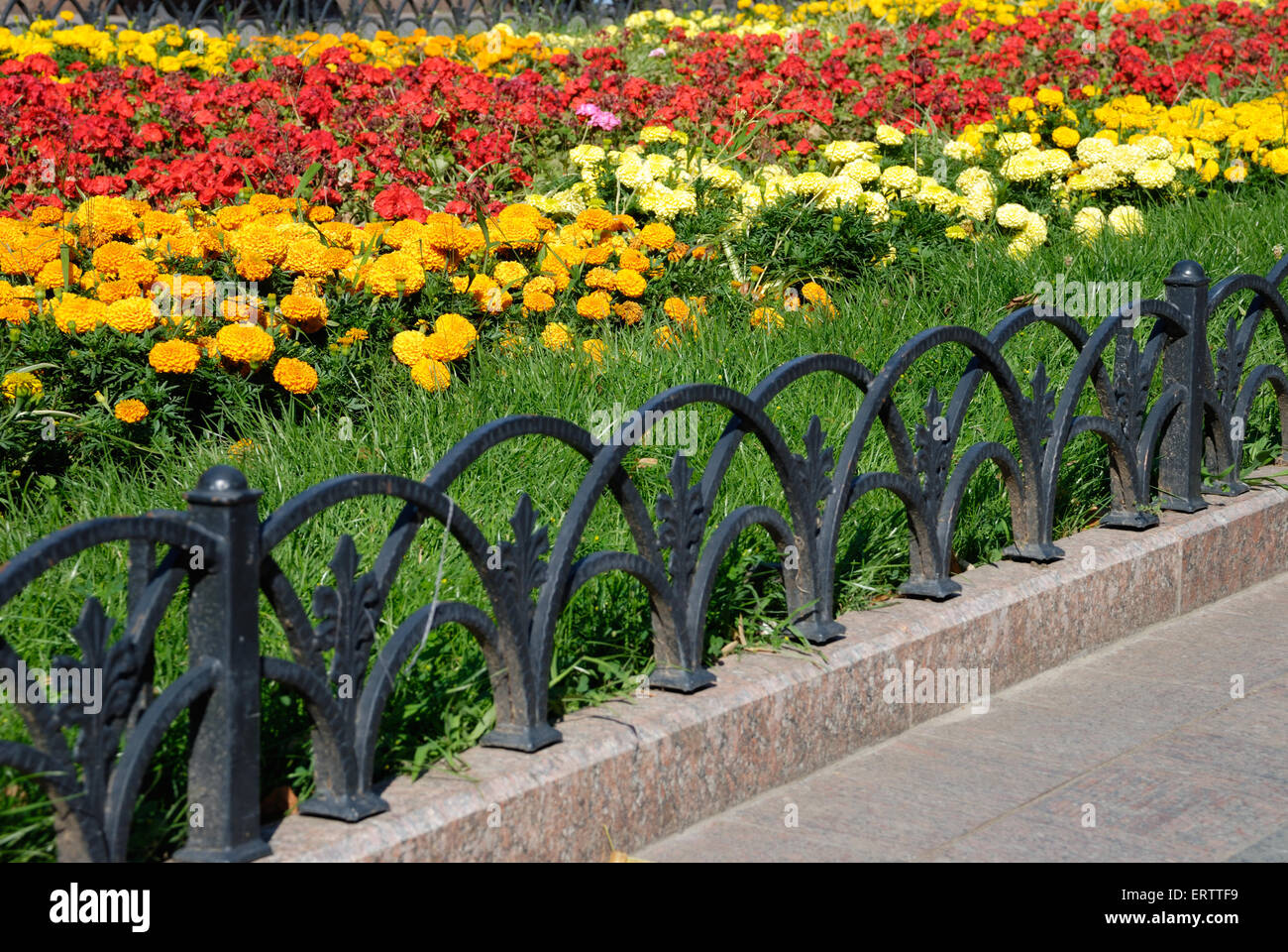 Foot path with flowers Stock Photo - Alamy