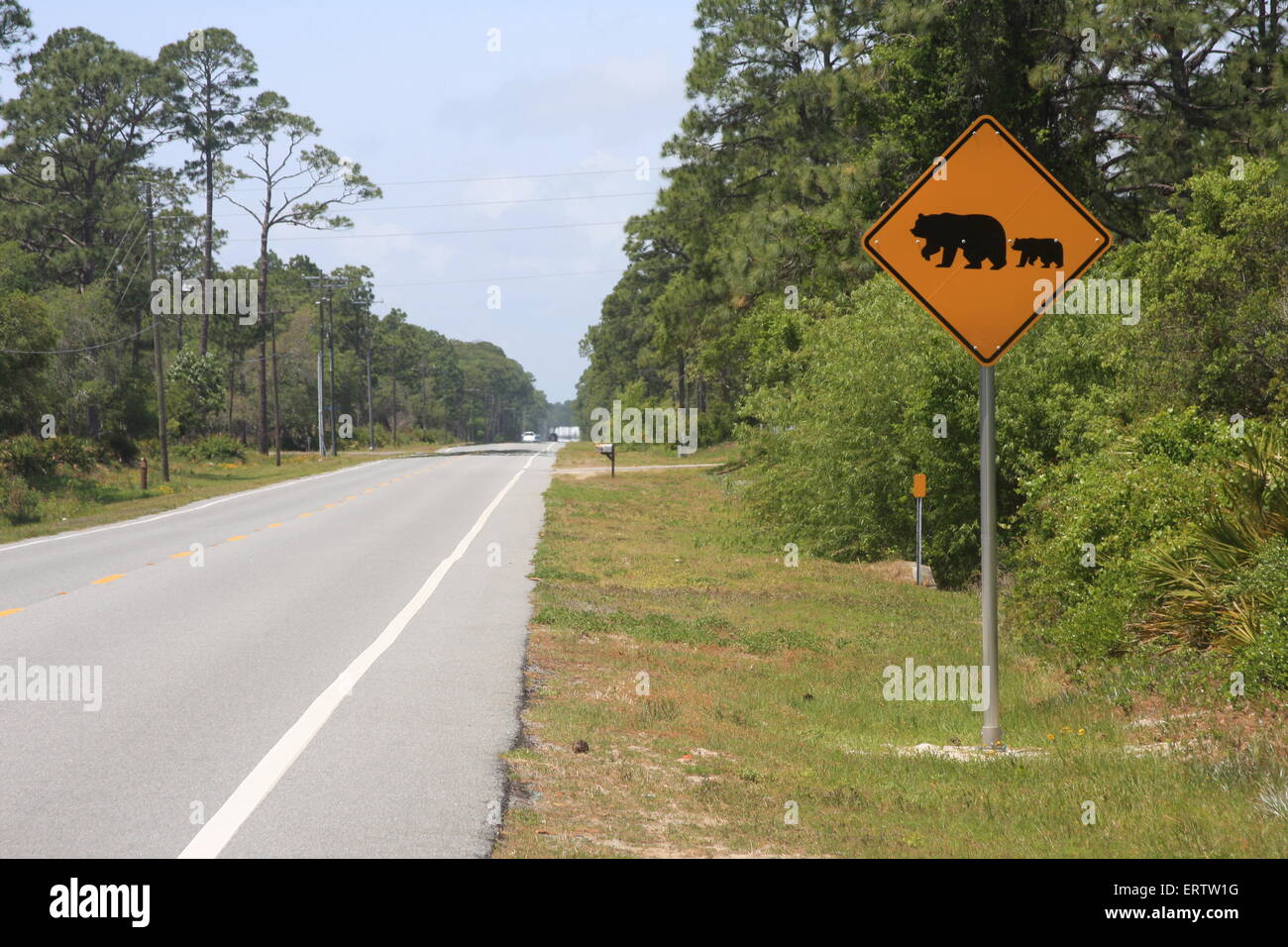 Bear warning sign by side of the road in northern Florida USA Stock ...