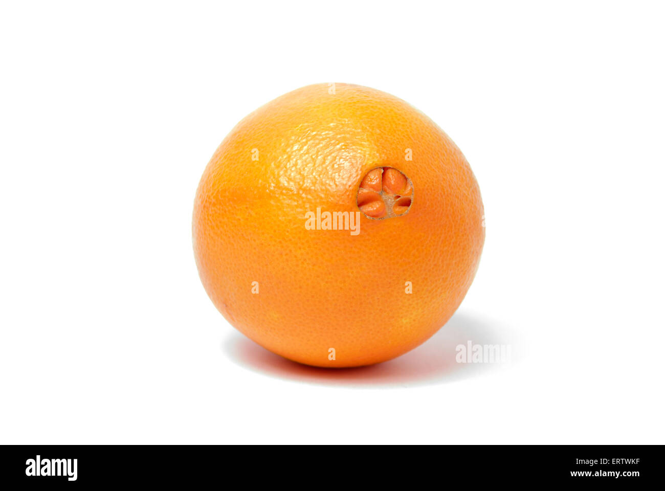 Whole wholly hi-res stock photography and images - Alamy