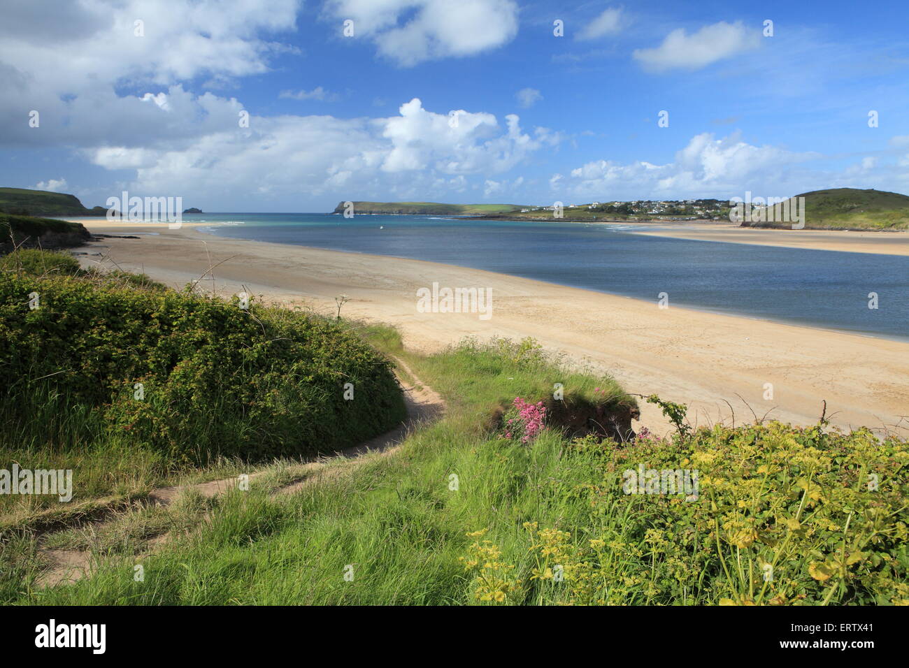 Camel estuary, Padstow, North Cornwall, England, UK Stock Photo - Alamy