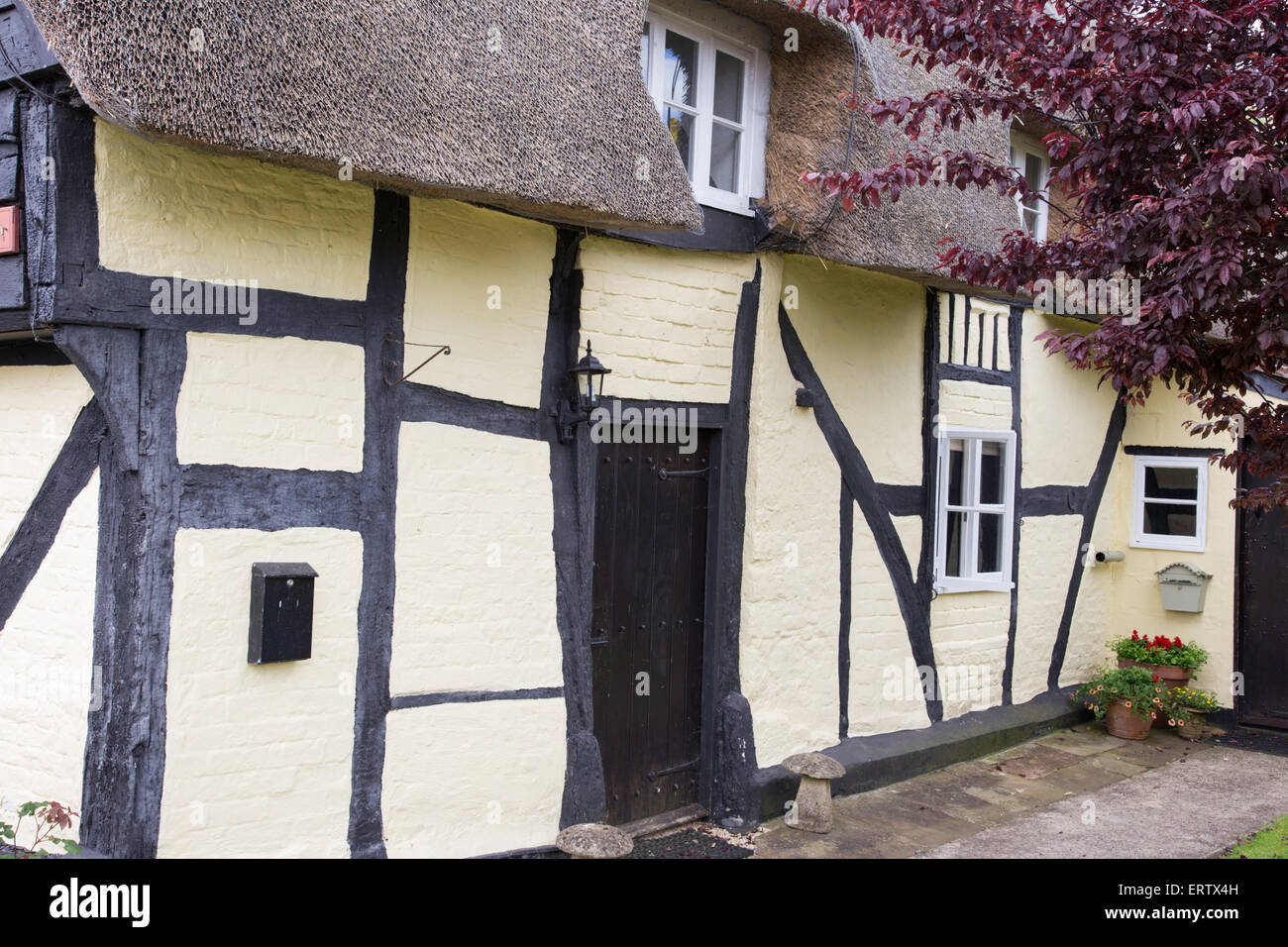 Timber-framed cottage, Frampton on Severn, Gloucestershire, England, UK ...