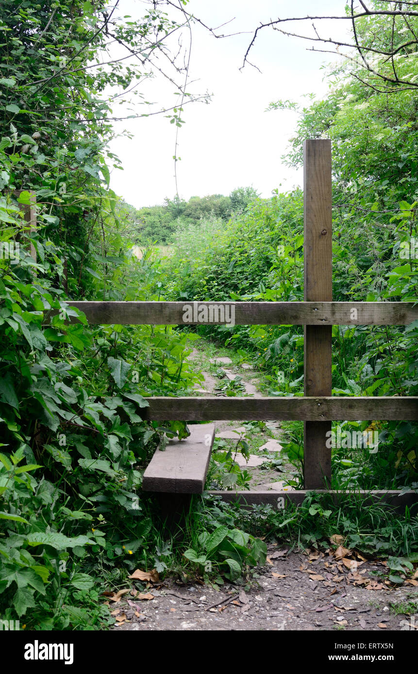 A stile on a path in the countryside at Three Mile Cross, Reading Stock ...