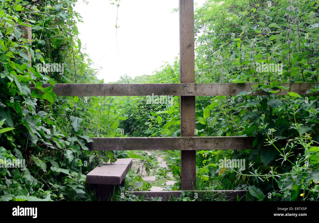 A stile on a path in the countryside at Three Mile Cross, Reading Stock ...