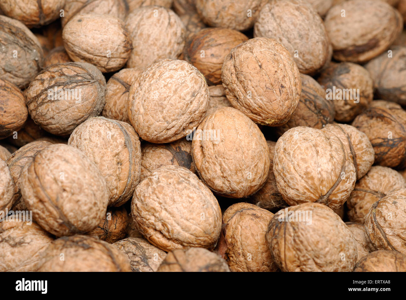 Background from set of the whole walnuts Stock Photo - Alamy