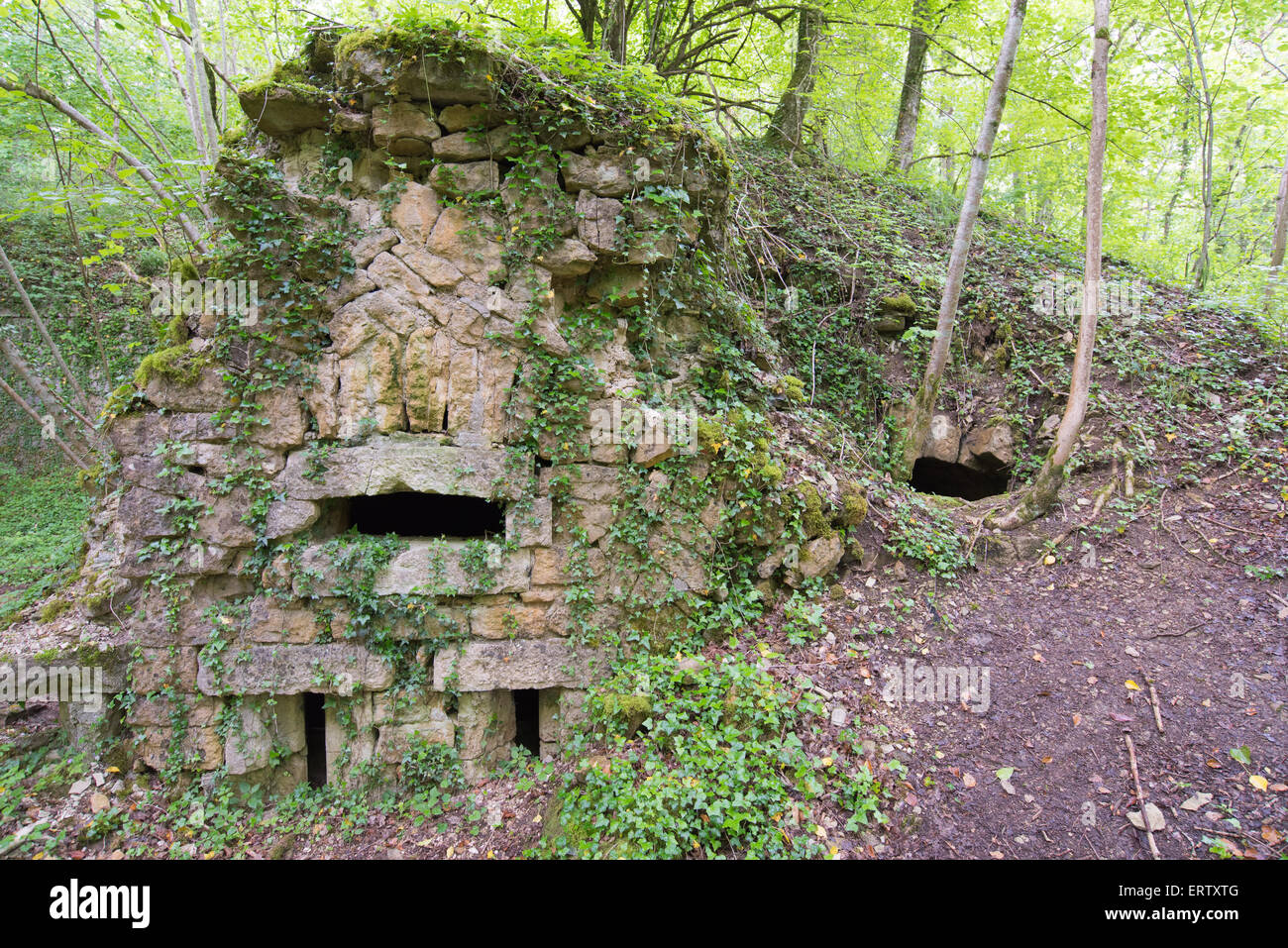 Remains of Fort de Souville, Verdun battlefield Stock Photo - Alamy