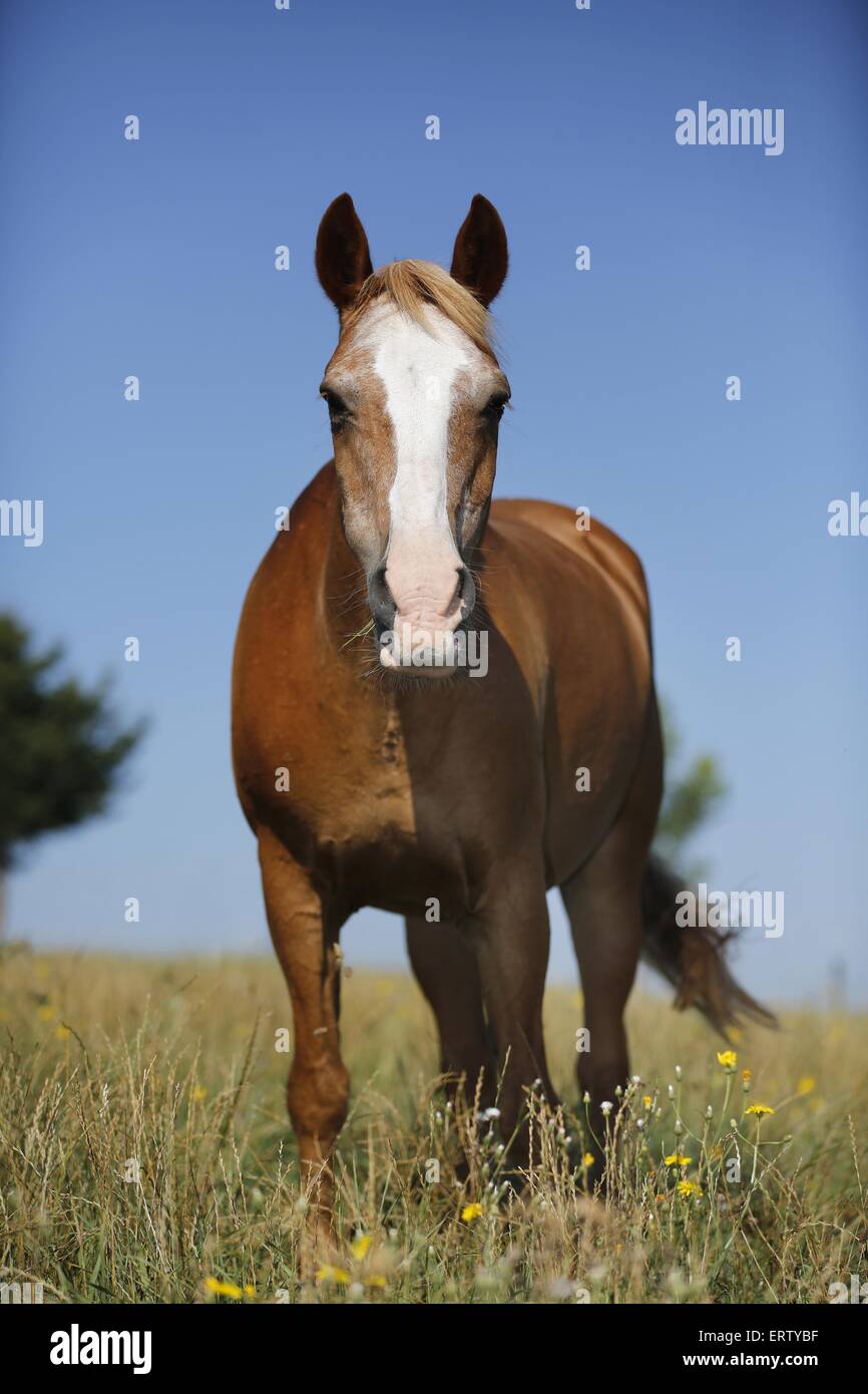 Free standing cross hi-res stock photography and images - Alamy