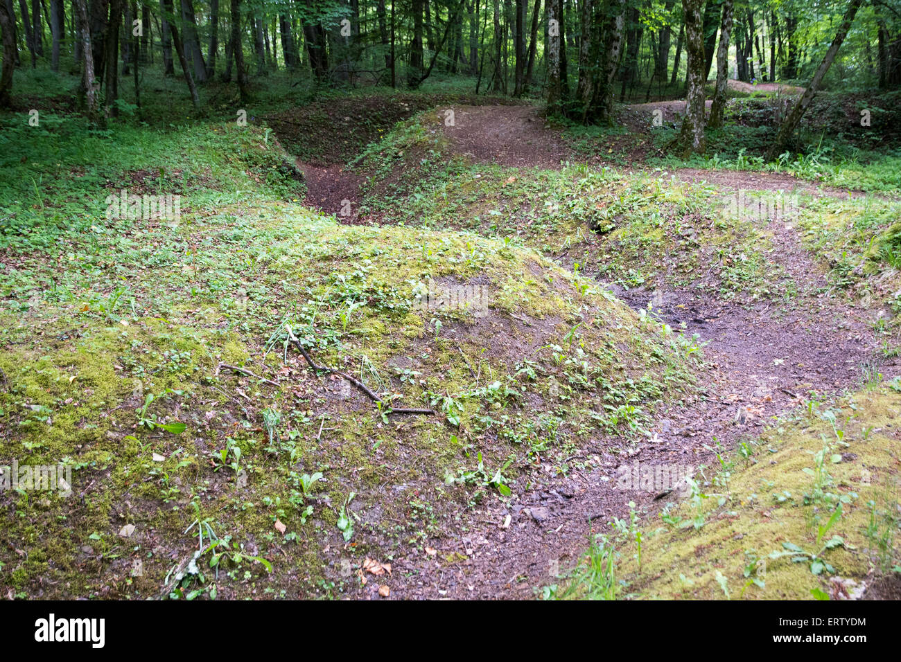 Remnants of preserved trench on Verdun battlefield, France Stock Photo ...