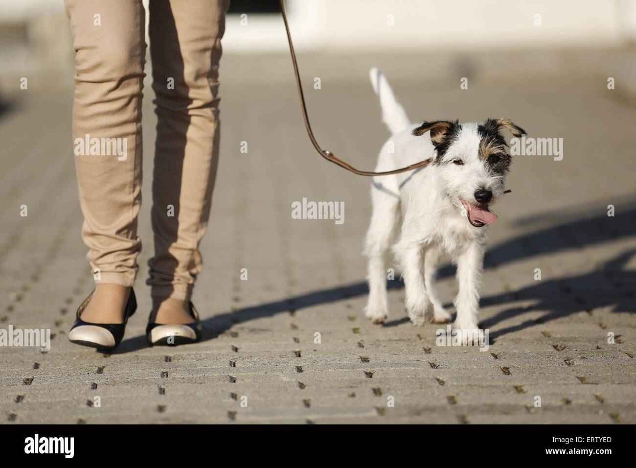 go for a walk Stock Photo - Alamy