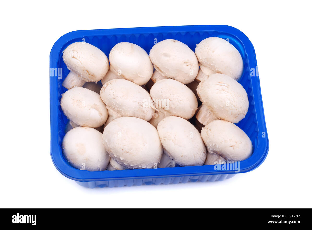 Field mushrooms hi-res stock photography and images - Alamy