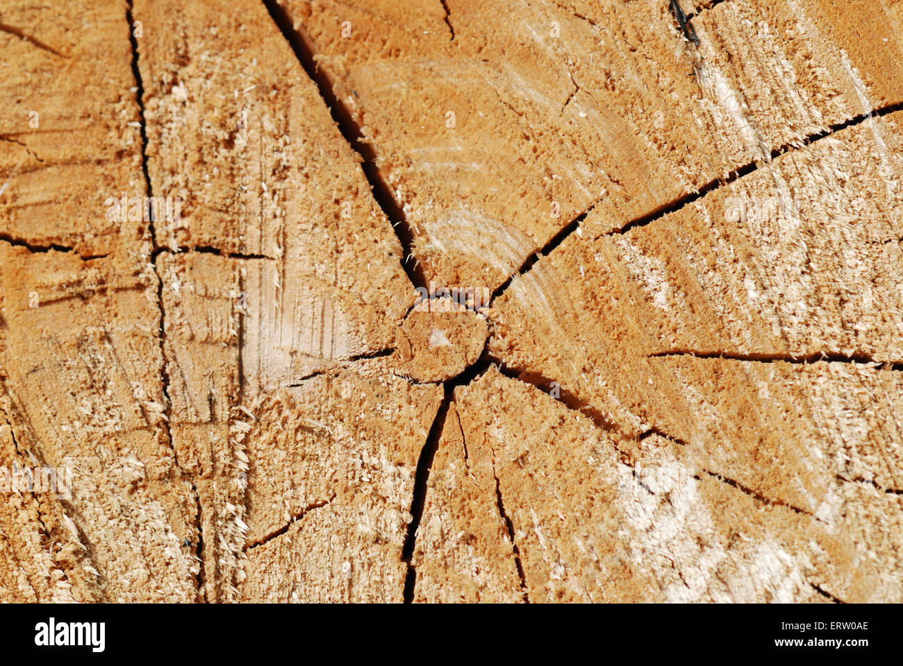 Closeup background from a stub structure Stock Photo - Alamy