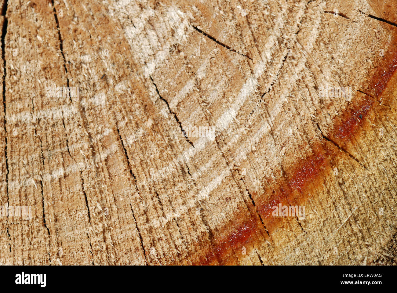 Closeup background from a stub structure Stock Photo - Alamy