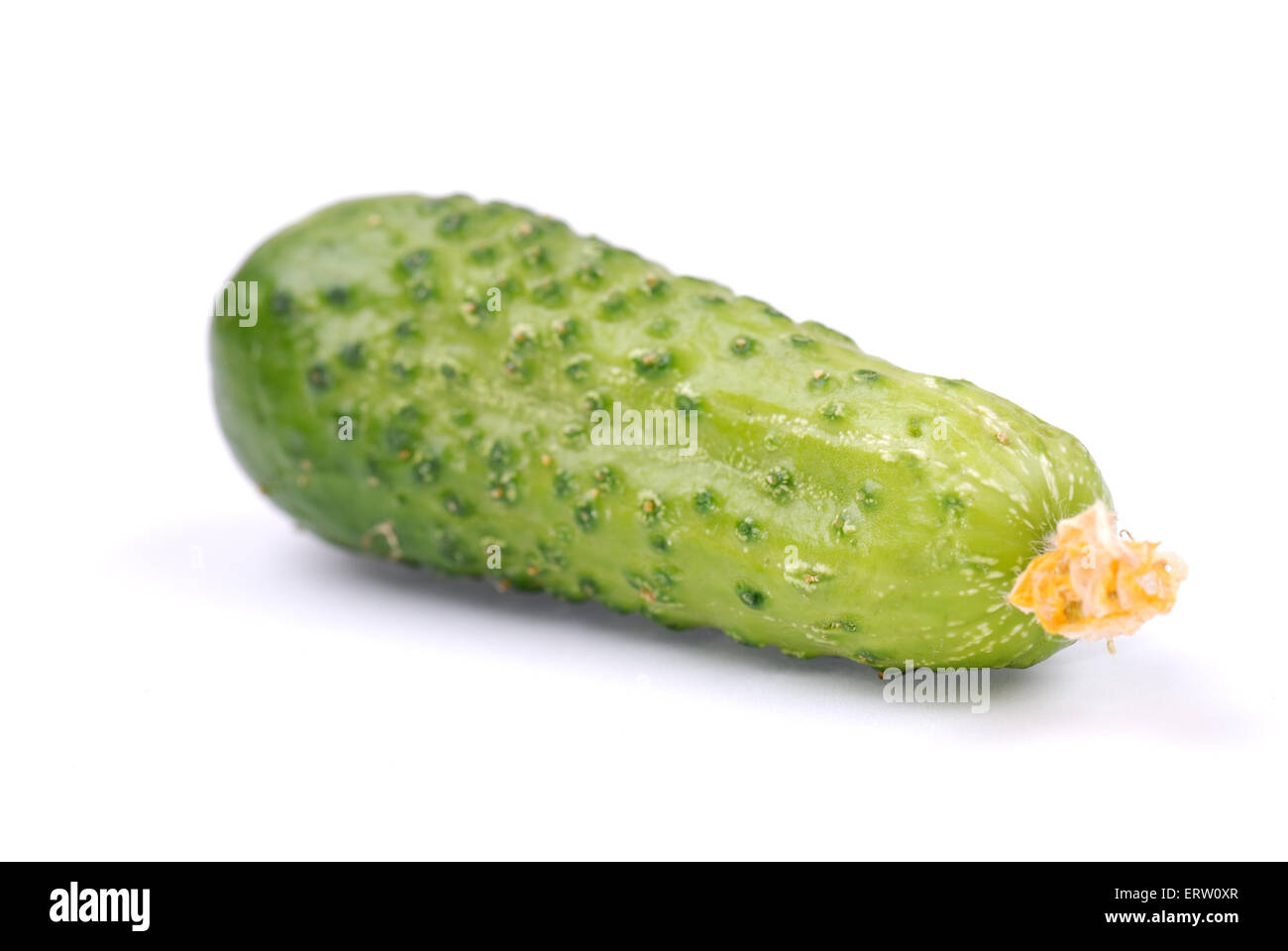 Fresh green cucumber isolated on white Stock Photo - Alamy