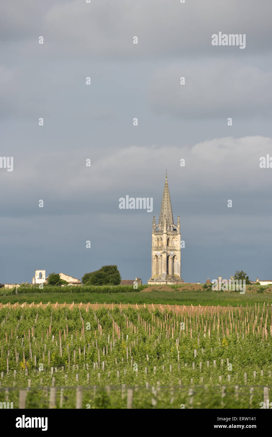 Vineyard and village of Saint-Emilion Stock Photo - Alamy
