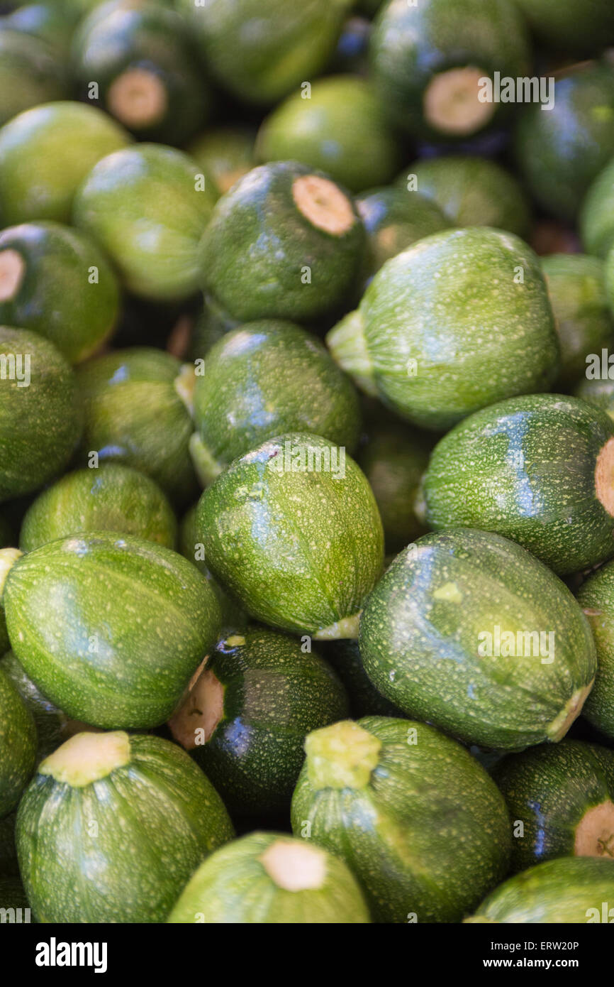 Zucchini / Tiny Summer Gourd Stock Photo - Alamy