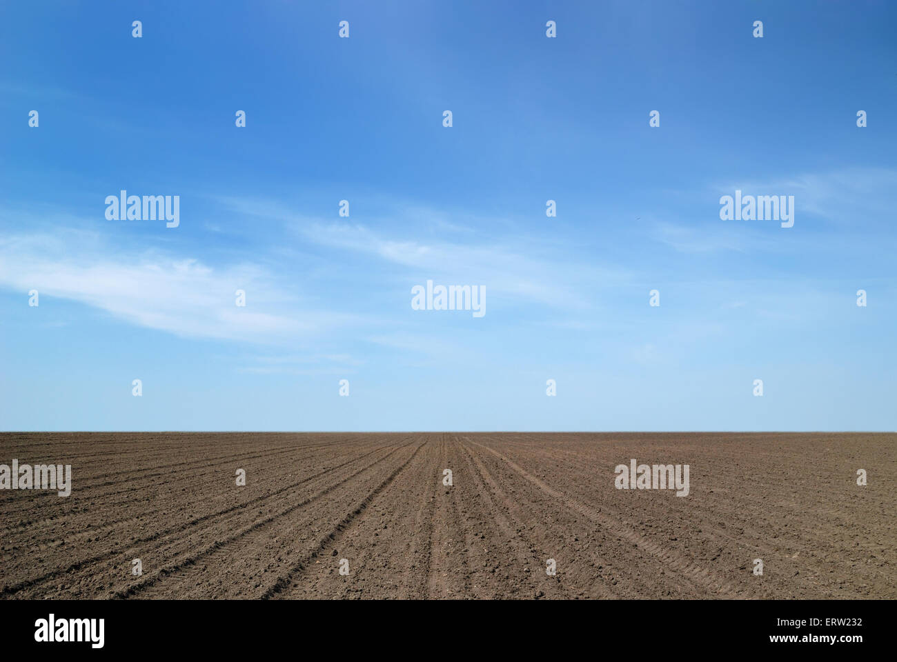 Background from an arable land and the sky Stock Photo - Alamy