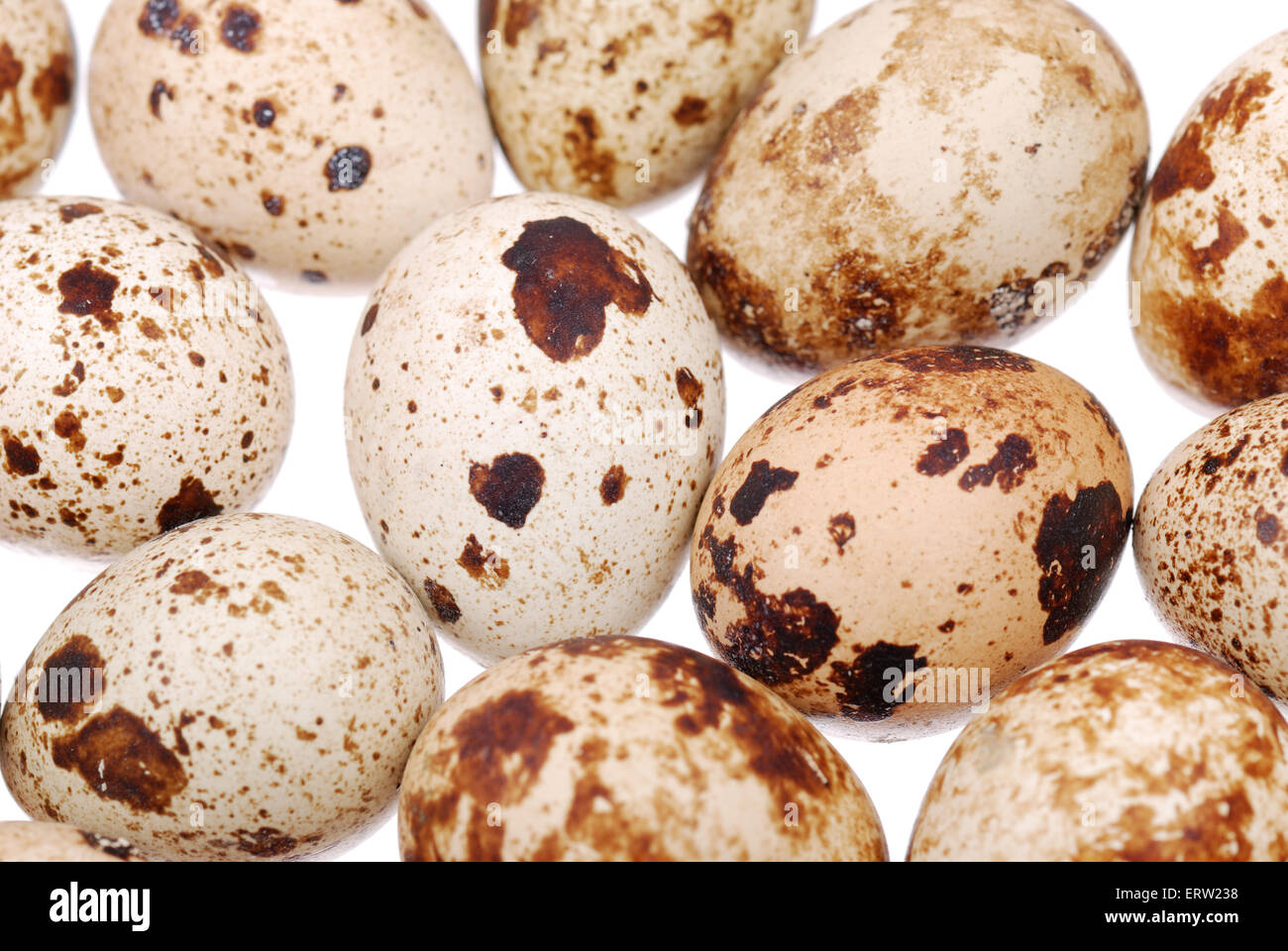 Photo of the quail egg isolated on white Stock Photo - Alamy