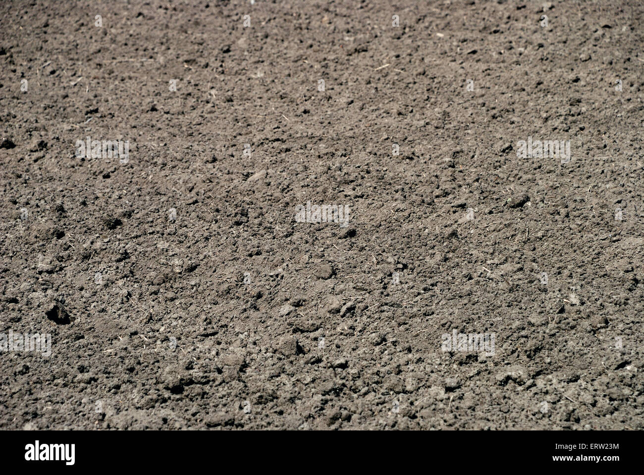 Background from ploughed earth in the field Stock Photo - Alamy