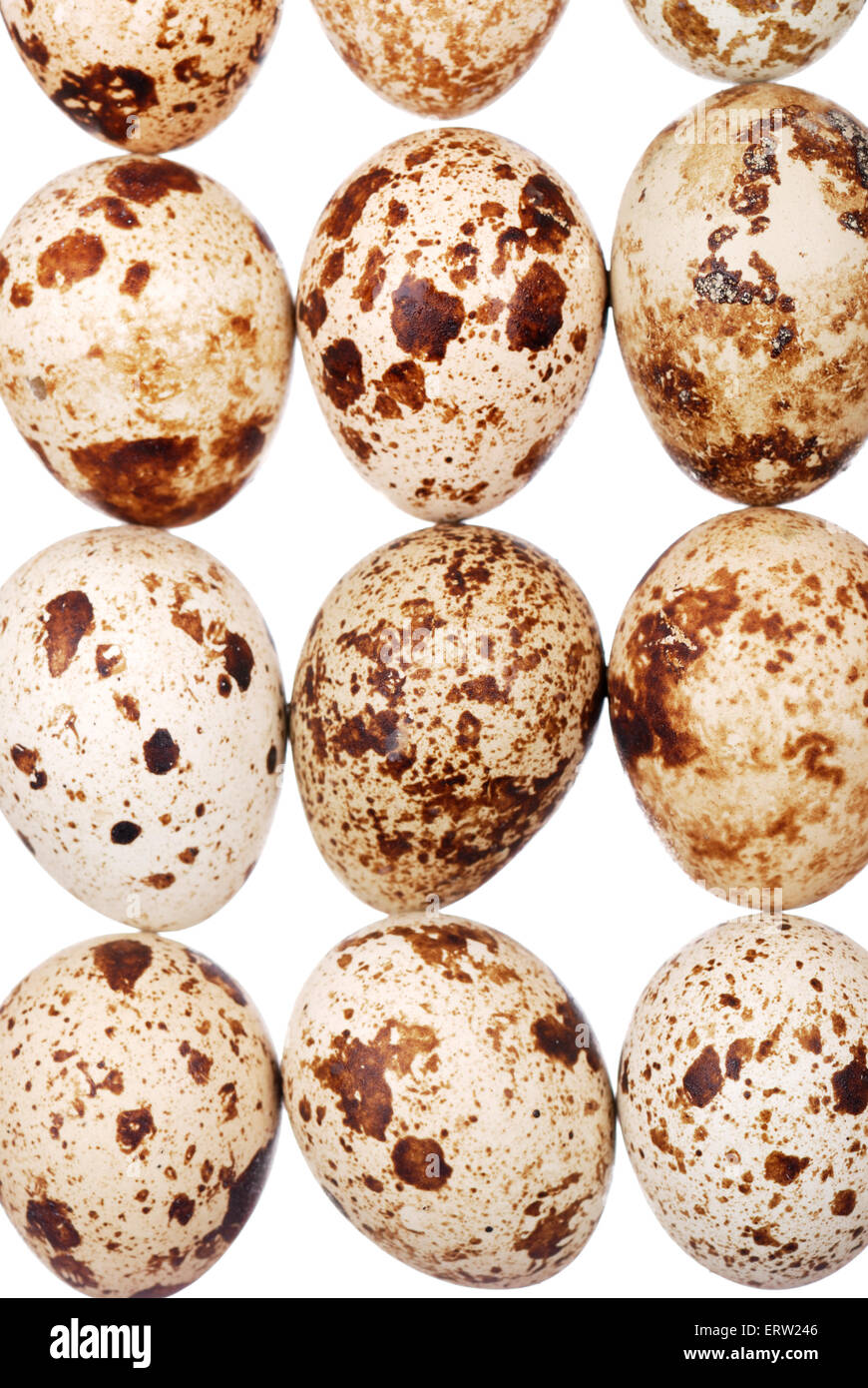 Photo of the quail egg isolated on white Stock Photo - Alamy