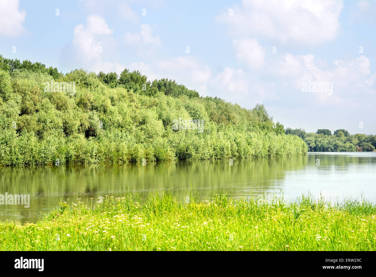 Summer landscape with green rivers, grass, trees Stock Photo - Alamy