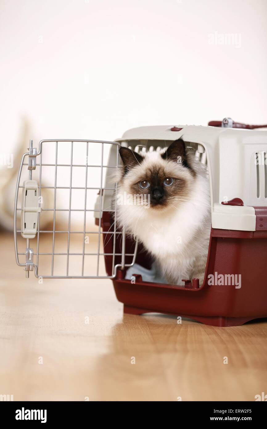 Vertical sacred hi-res stock photography and images - Alamy