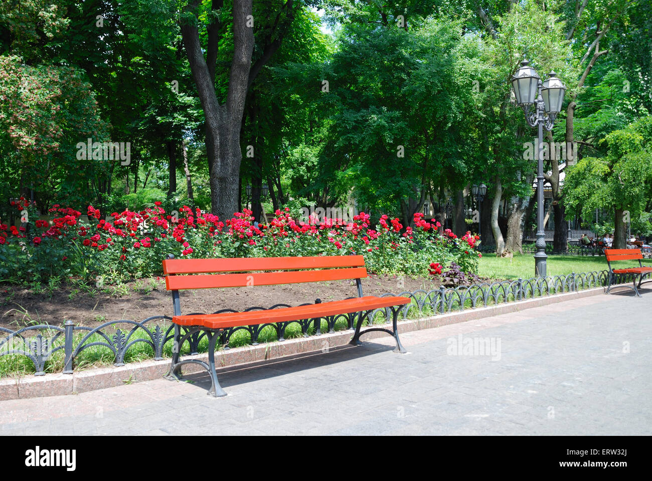 Summer day in public city park Stock Photo - Alamy