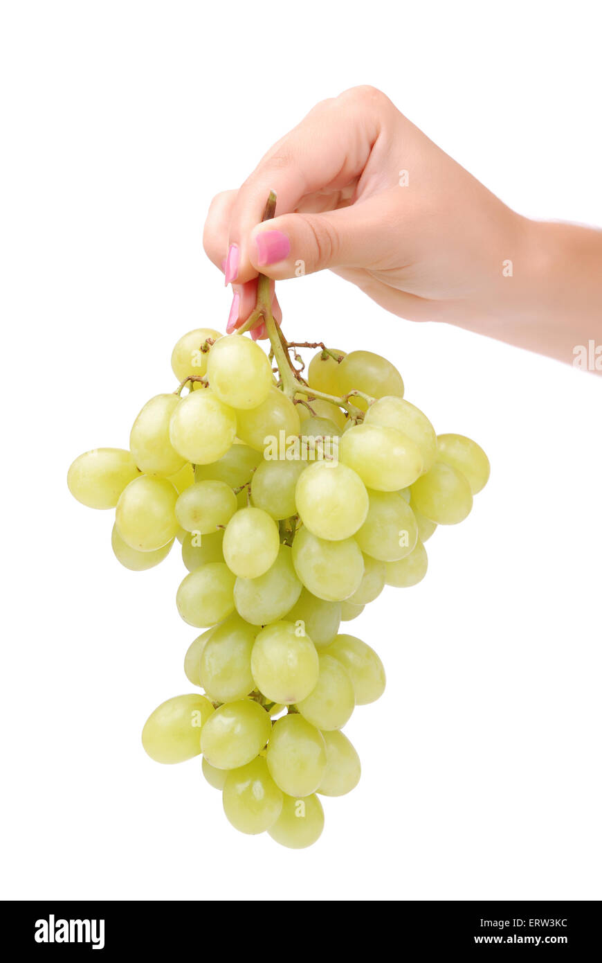Bunch green grapes hand Cut Out Stock Images & Pictures - Alamy