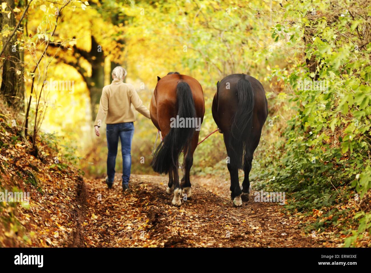 Horse walking away hi-res stock photography and images - Alamy
