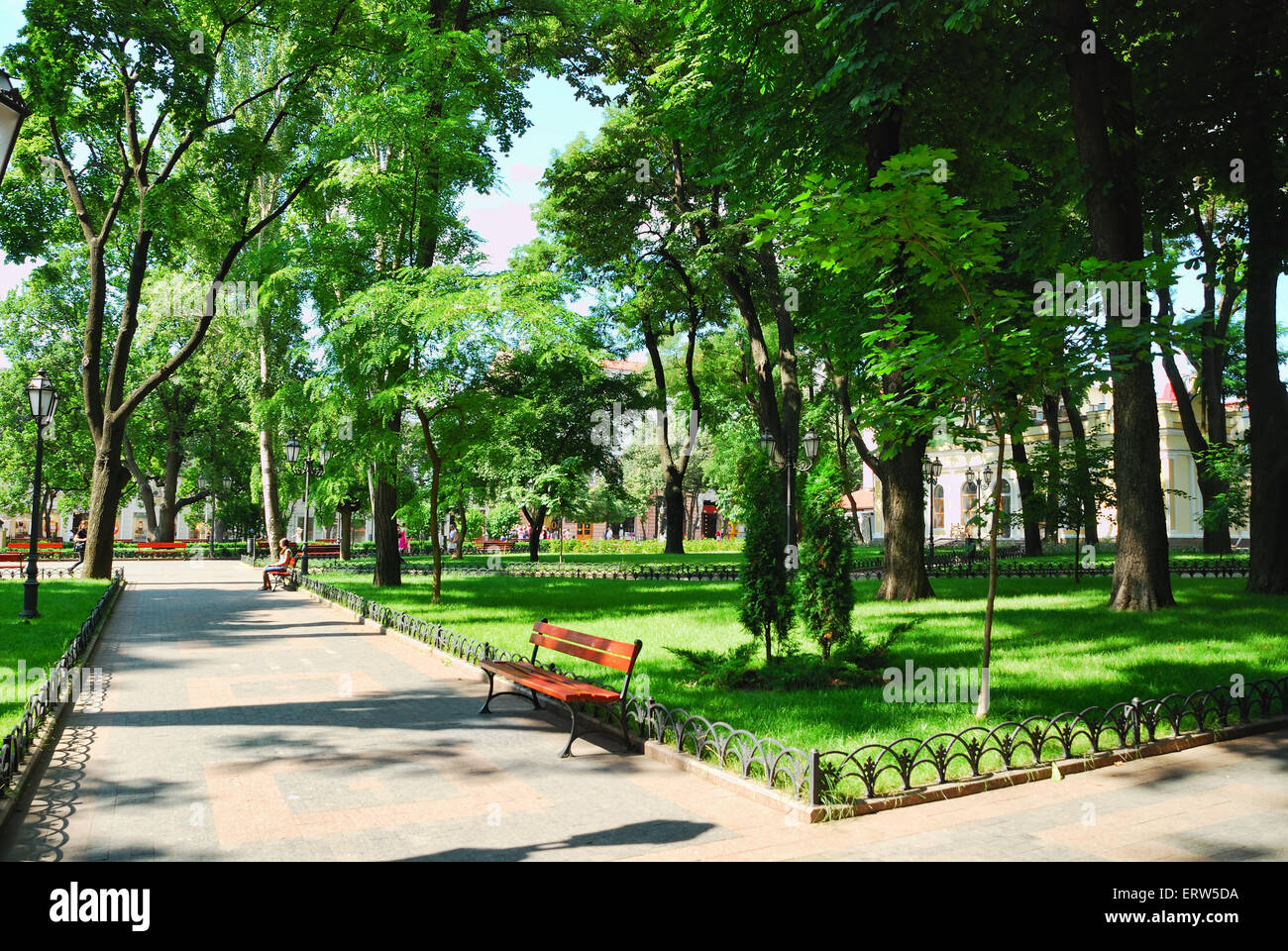 Summer day in public city park Stock Photo - Alamy