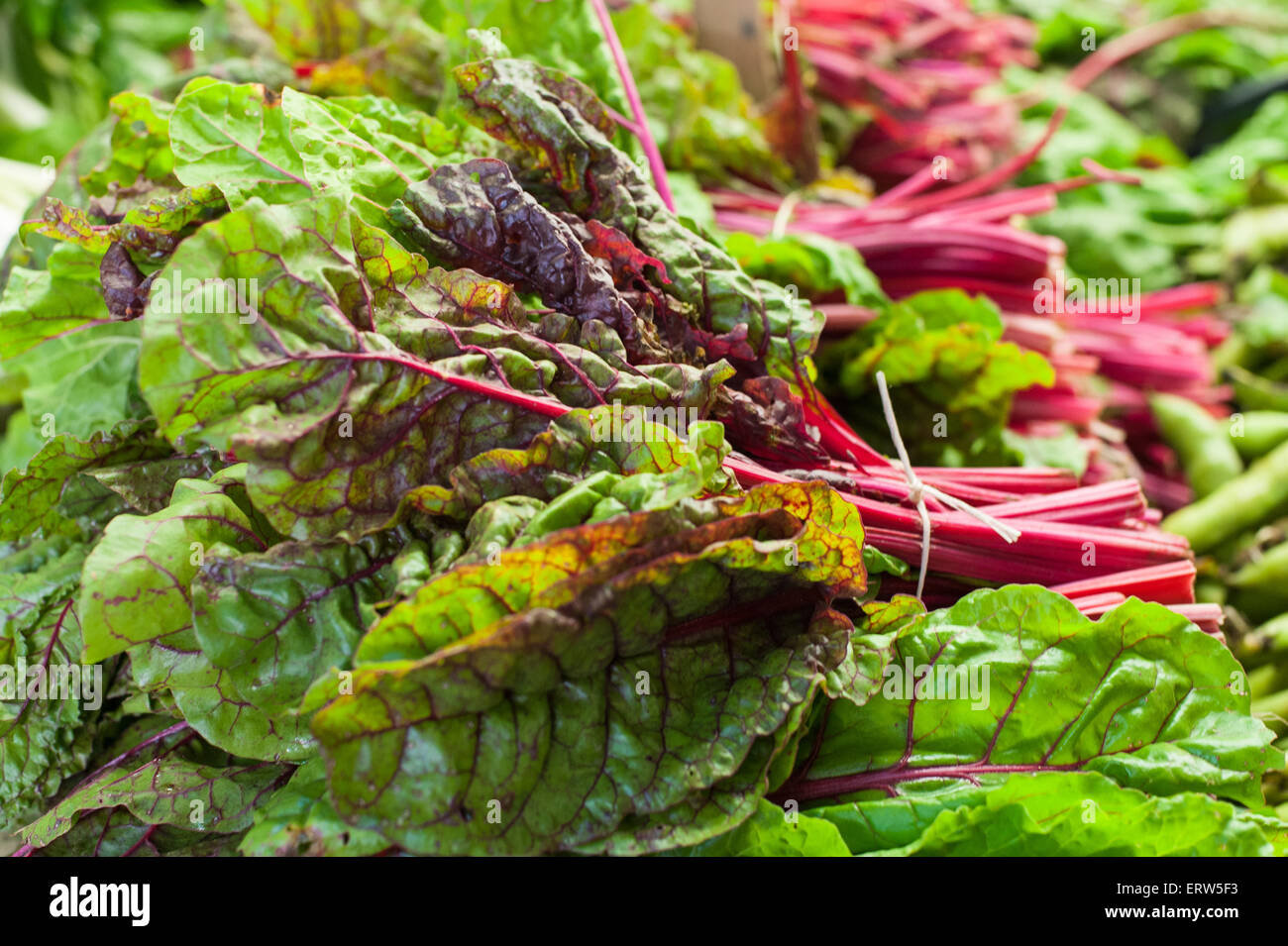 Red swiss chard bunch raw and fresh in market Stock Photo - Alamy