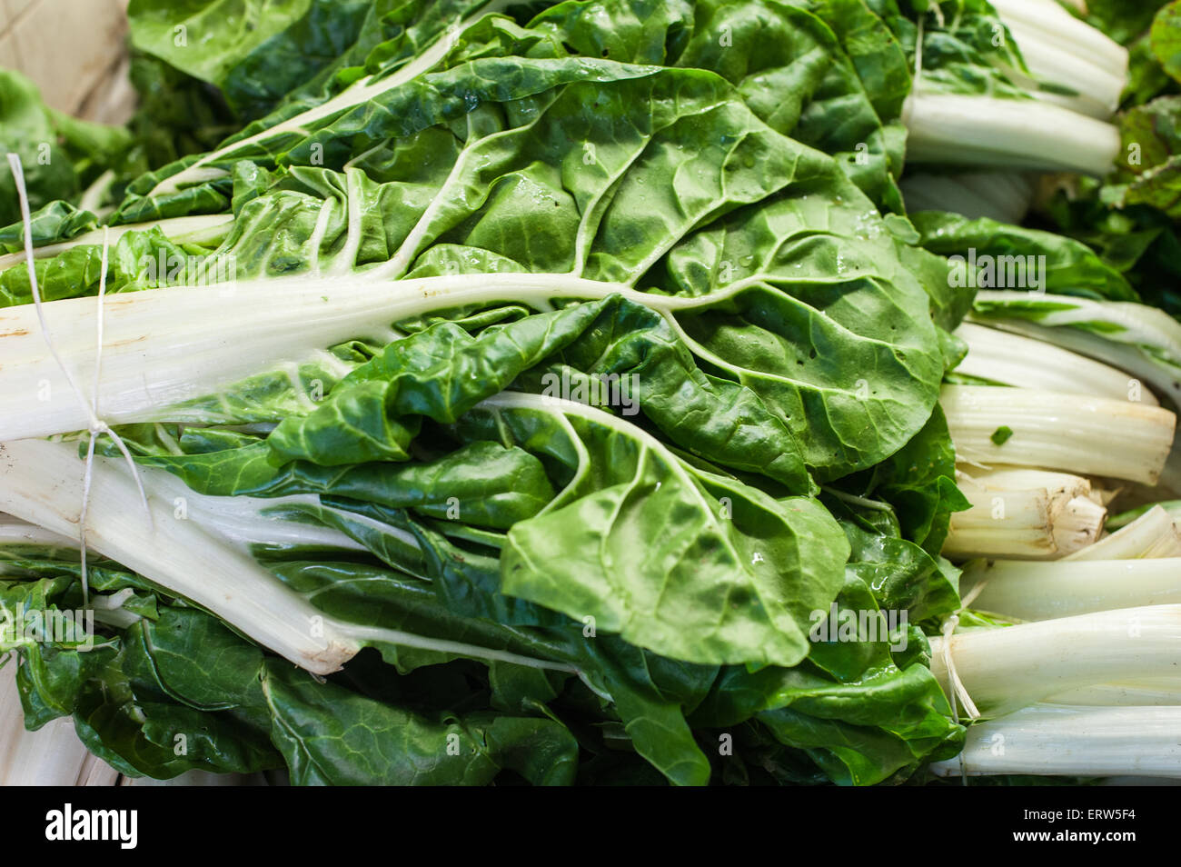 Swiss chard bunch raw and fresh in market Stock Photo - Alamy