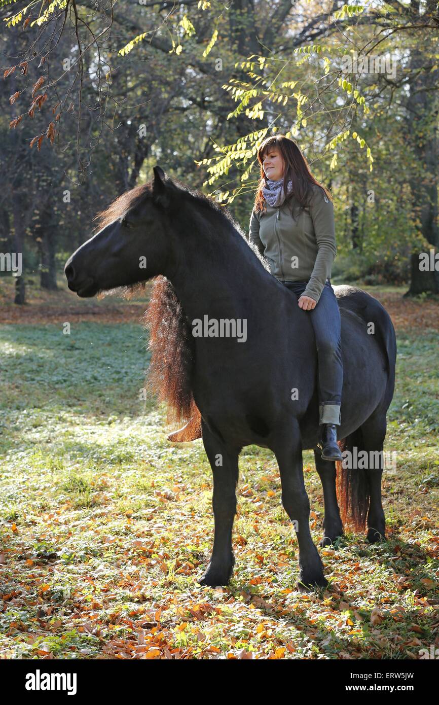 Friesian horse riding hi-res stock photography and images - Alamy