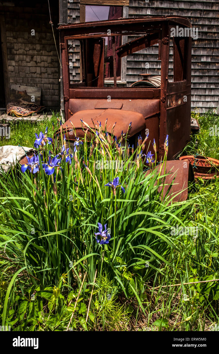 Truck radiator hi-res stock photography and images - Alamy