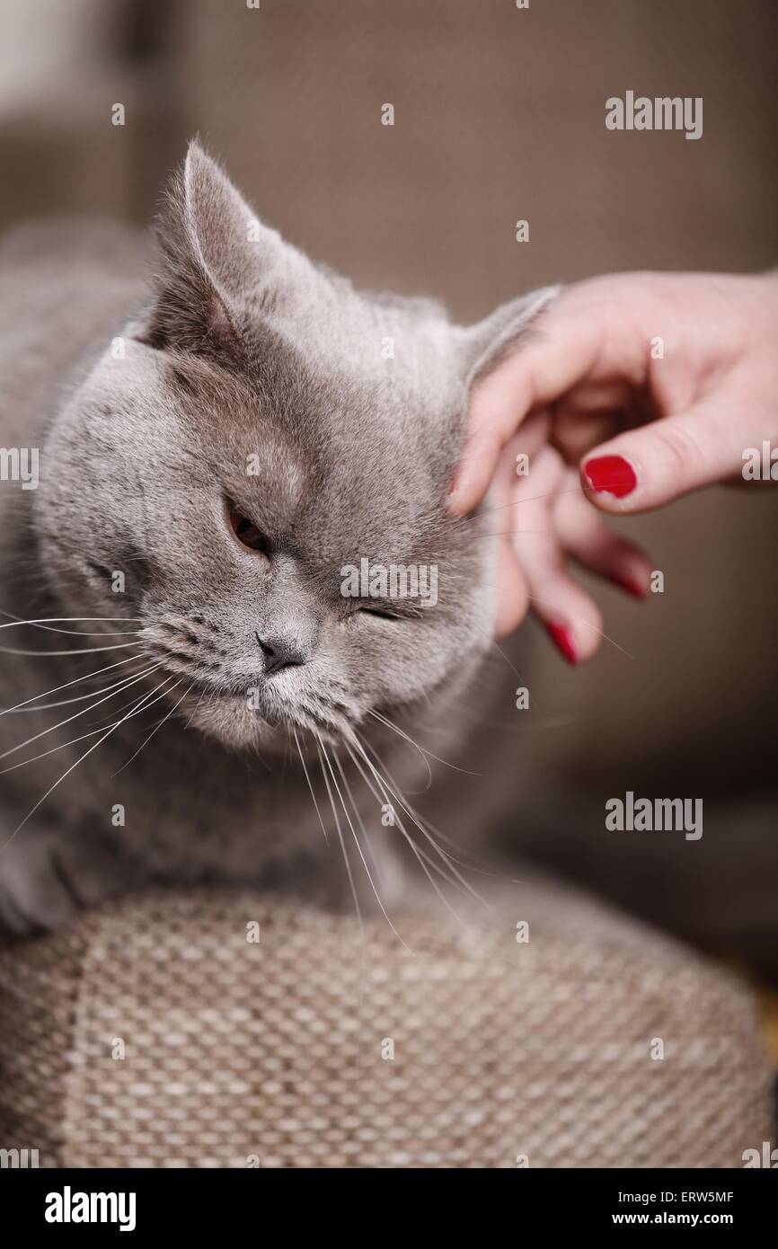Fondling fondle hi-res stock photography and images - Alamy