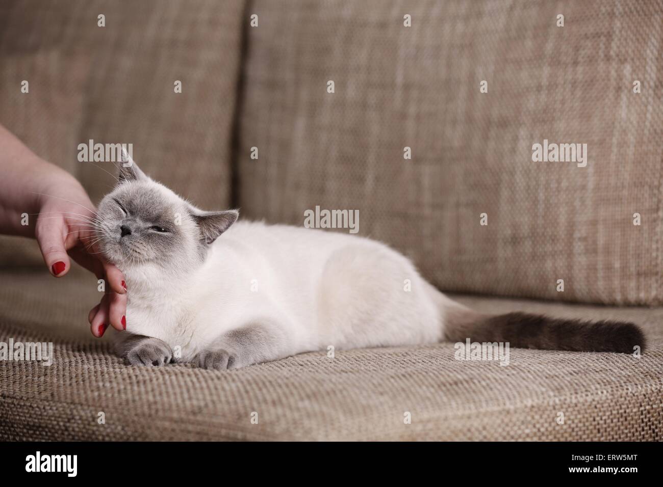 Fondling hi-res stock photography and images - Alamy