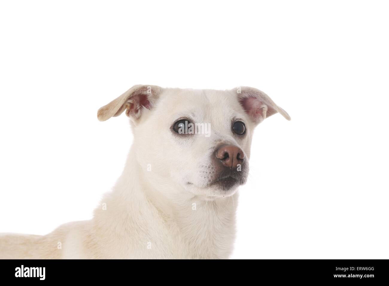 Jrt cross hi-res stock photography and images - Alamy