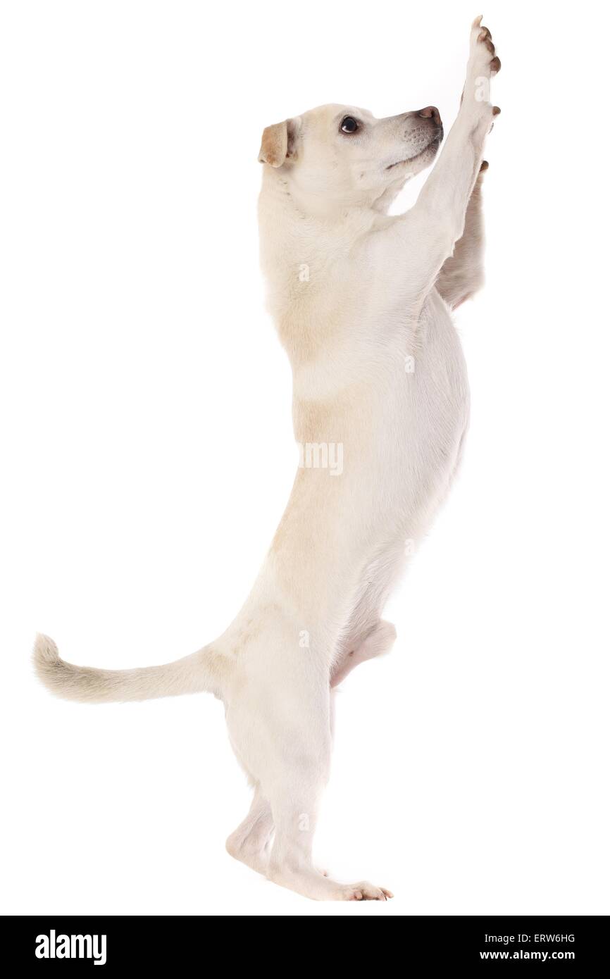 Jrt cross hi-res stock photography and images - Alamy