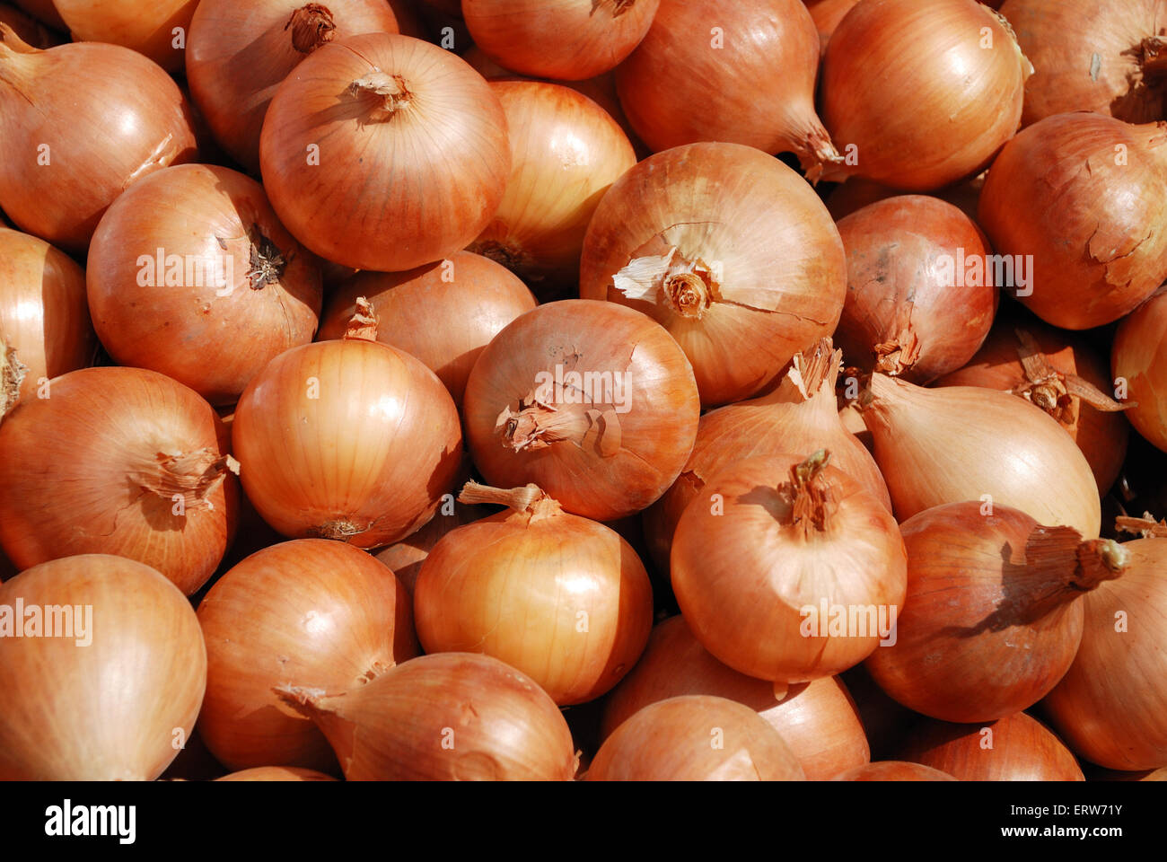Background from a crop onion Stock Photo - Alamy