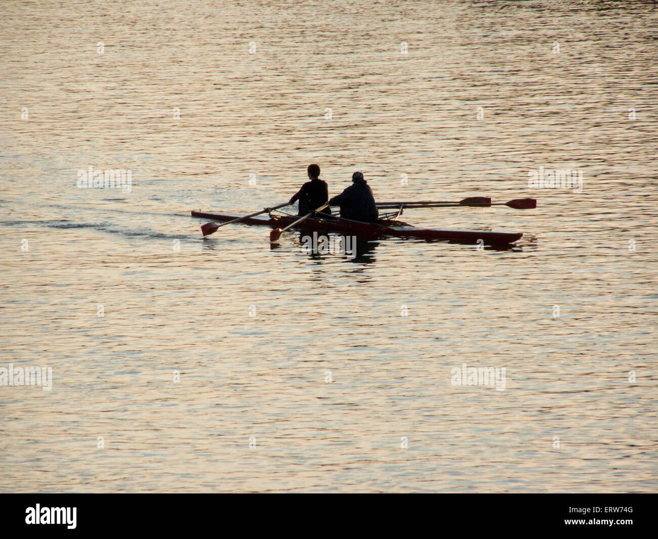 Rowing team bow hi-res stock photography and images - Alamy