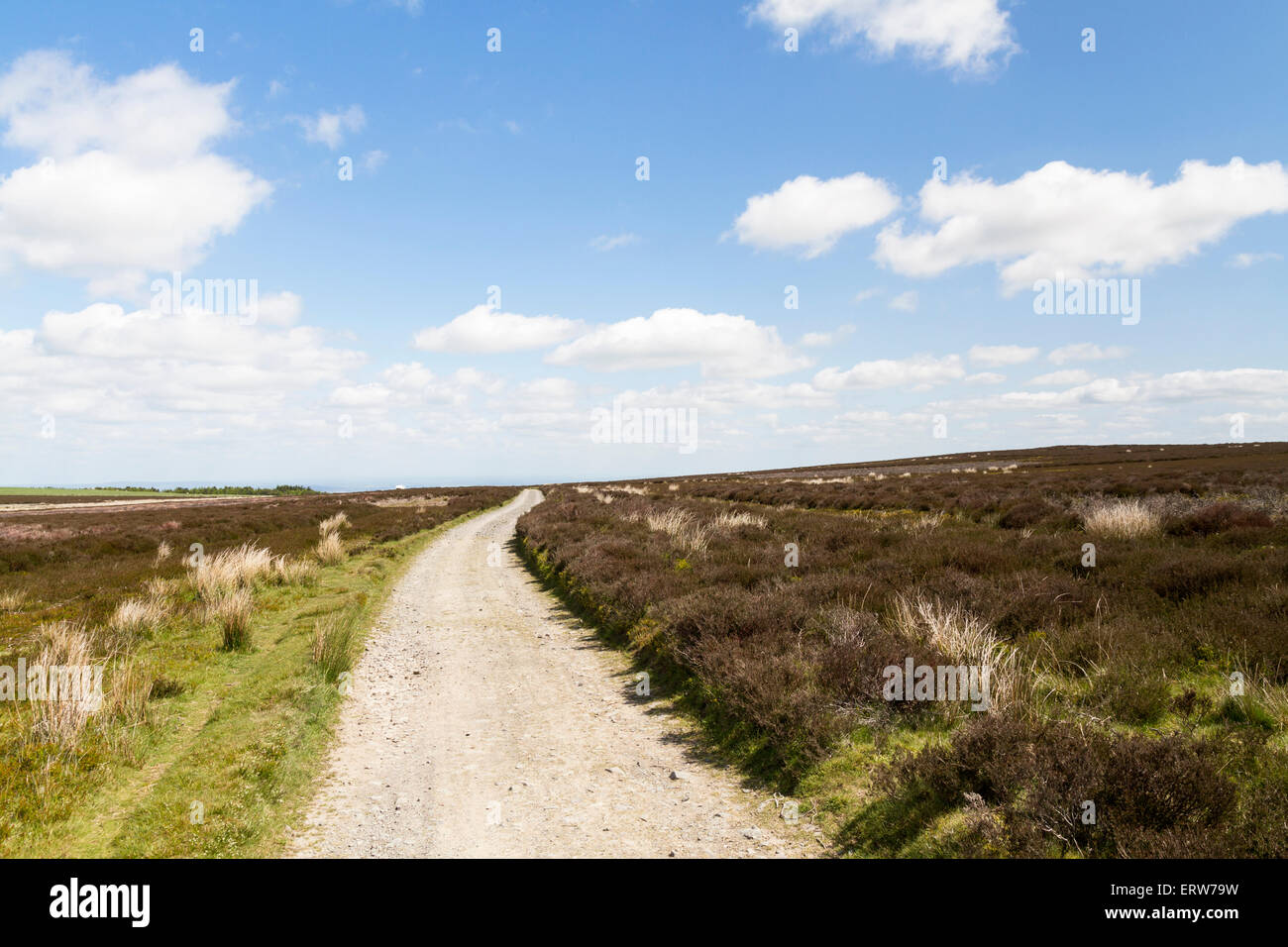 The Long Mynd Shropshire Stock Photo - Alamy