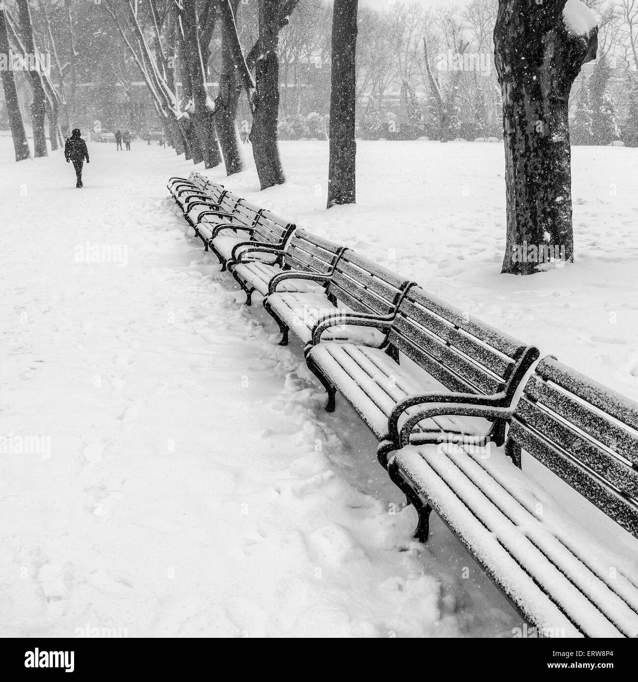 A winter snow storm in Gulhane Park, Sultanahmet, Istanbul, Turkey ...