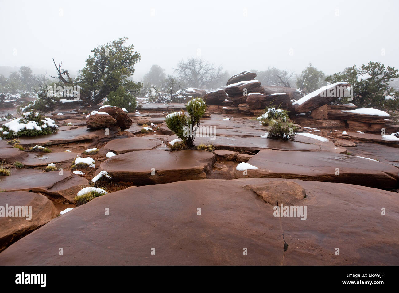 Slick rock formation in Utah Stock Photo - Alamy