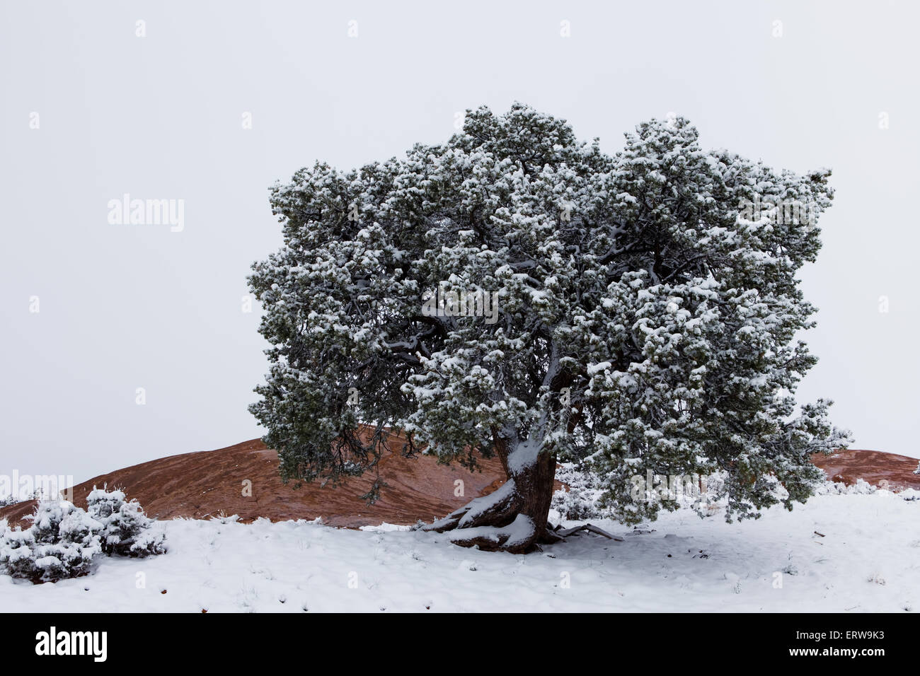 Slick rock hi-res stock photography and images - Alamy