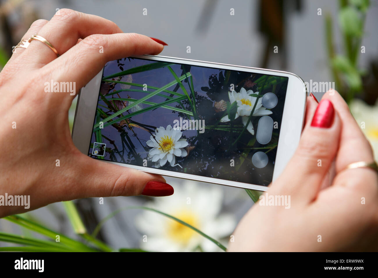 Hand holding camera phone hi-res stock photography and images - Alamy