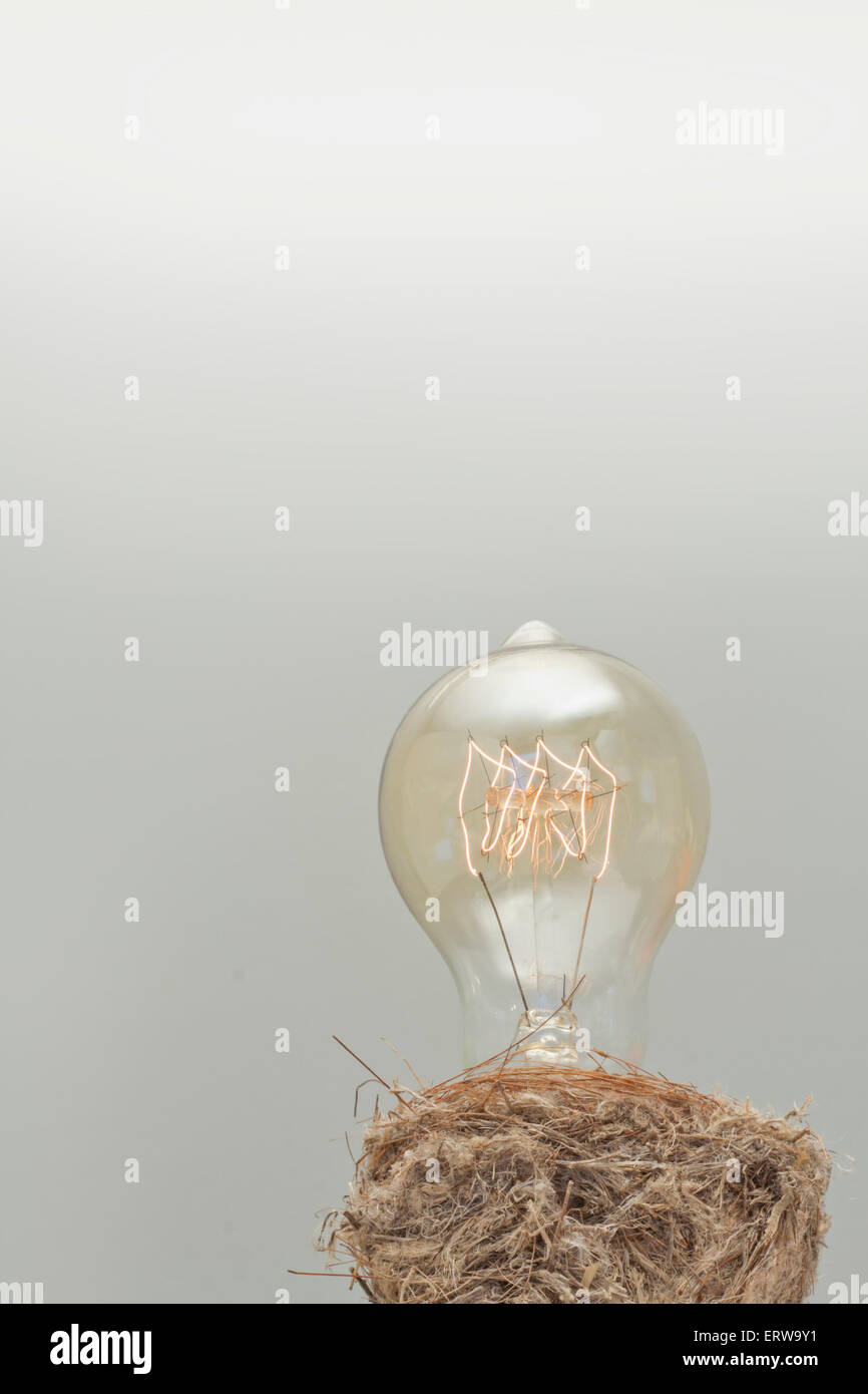 Decorative antique edison style filament light bulb in birds nest Stock ...