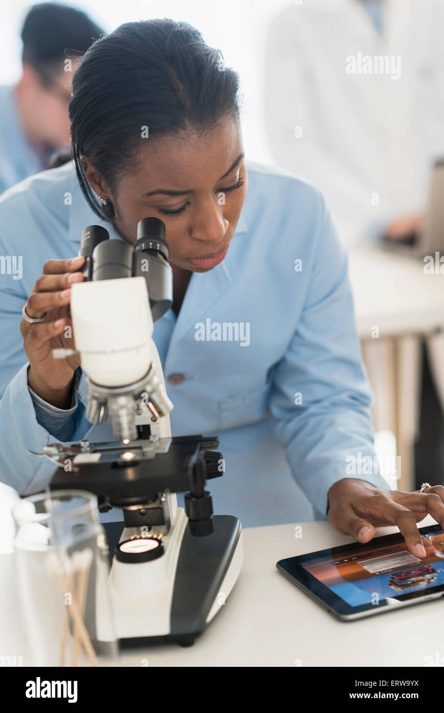 Digital microscope hi-res stock photography and images - Alamy