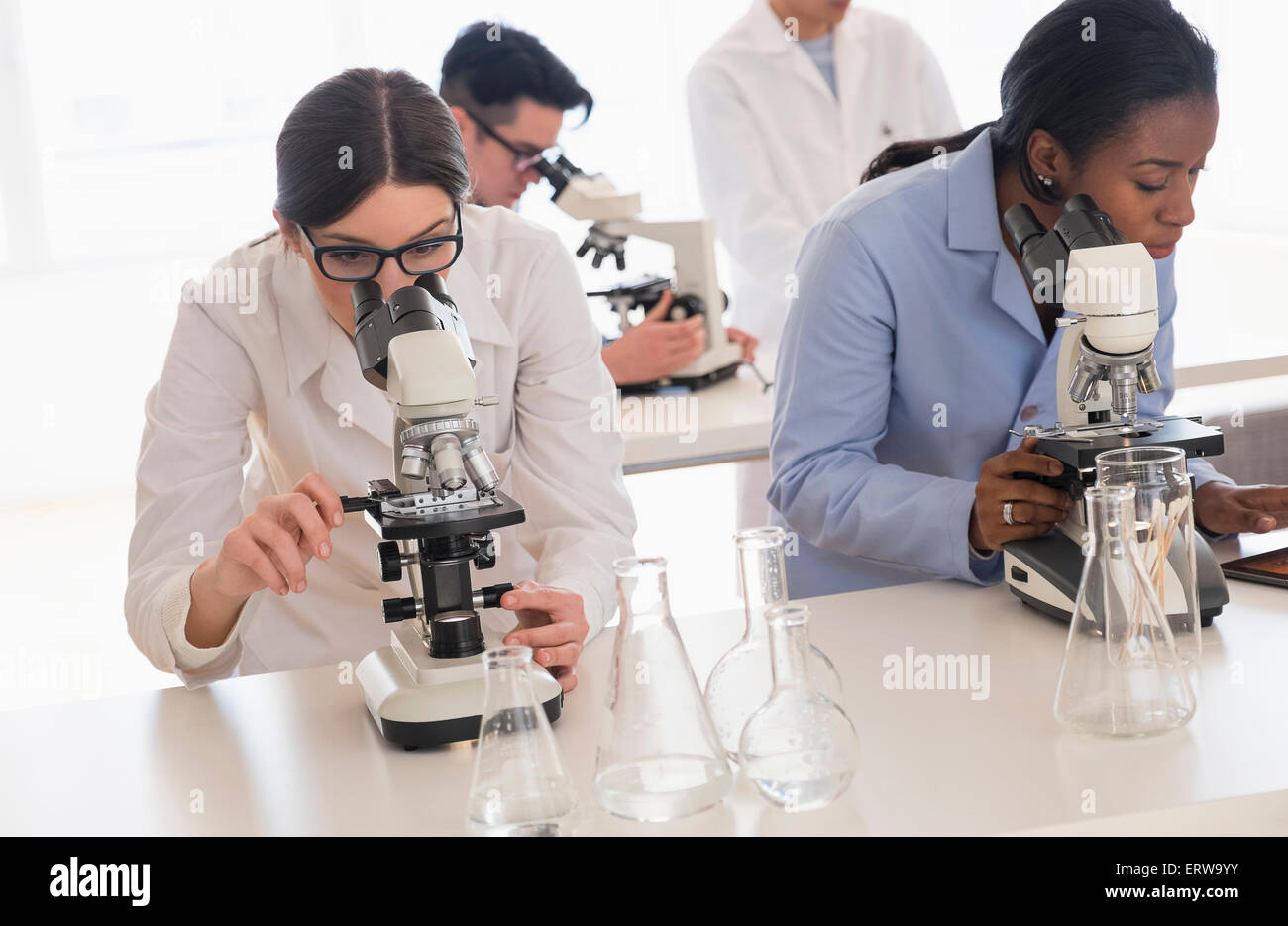 Scientists using microscopes in research laboratory Stock Photo - Alamy