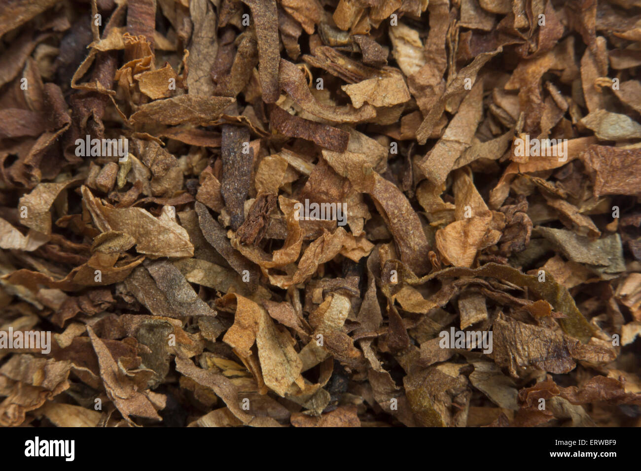 Cigarette rolling tobacco texture background for addiction or leisure ...